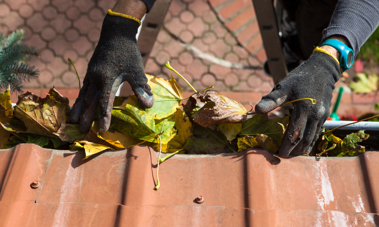 The Importance Of A Clean Gutter | The Homelife