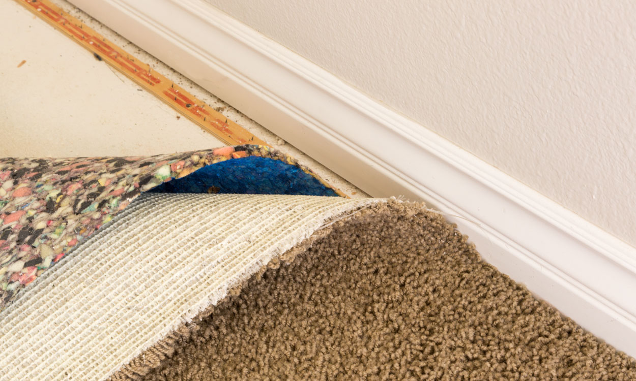 Which is The Best Carpet Underlay? | The Homelife